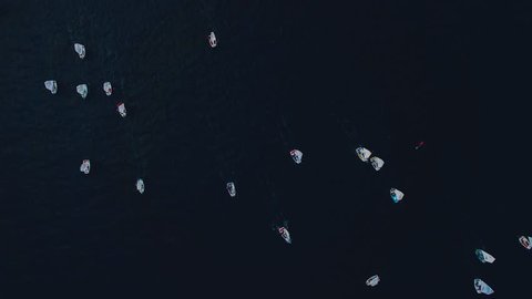 colorful butterflies flying loop random scene Stock Footage Video (100% ...