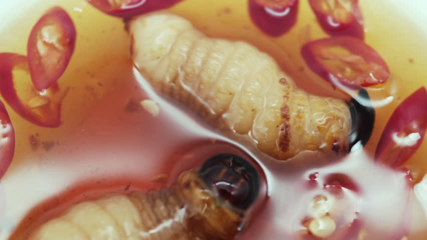 coconut tree's worms - vietnamese food Stock Footage Video (100% ...