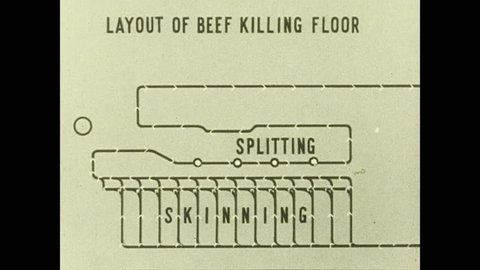 1930s Text Layout Beef Killing Floor Stock Footage Video (100% Royalty ...