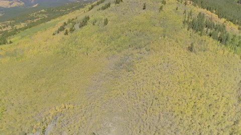 Fall Foliage Boreas Pass Co Stock Footage Video (100% Royalty-free ...