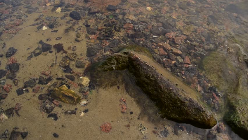 background stones black muddy river texture Stock Footage Video (100% ...