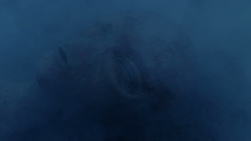 Burnt Alien Smoking Ufo Wreckage Stock Footage Video (100% Royalty-free ...