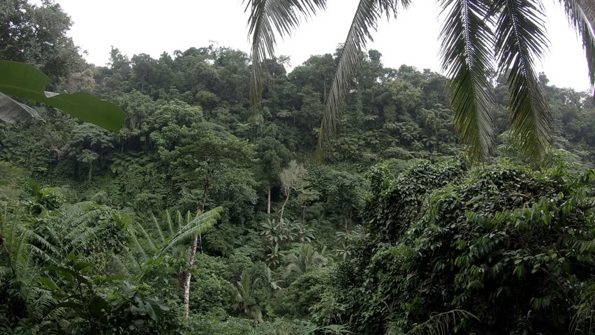 philippines naga's hot spring resort Stock Footage Video (100% Royalty ...