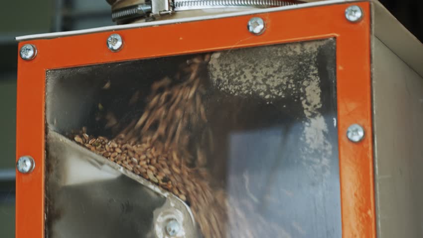 wheat grains cleaning sieving by vibration Stock Footage Video (100% ...