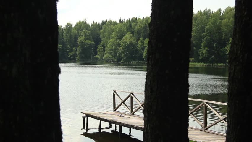 bridge lake behind trees Stock Footage Video (100% Royalty-free ...