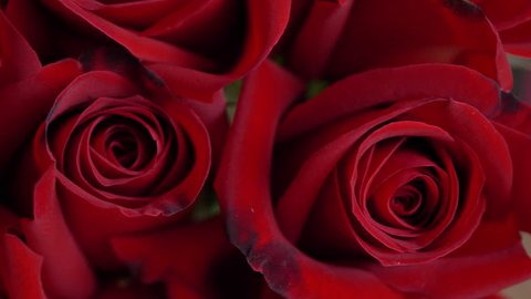 Hd Red Roses Stock Footage Video (100% Royalty-free) 12638690 ...