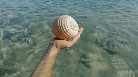 Pearl Inside Seashell Beautiful Pearl Shell Stock Footage Video (100% ...