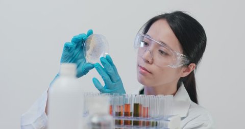 Scientist Making Observation Petri Dish Stock Footage Video (100% ...