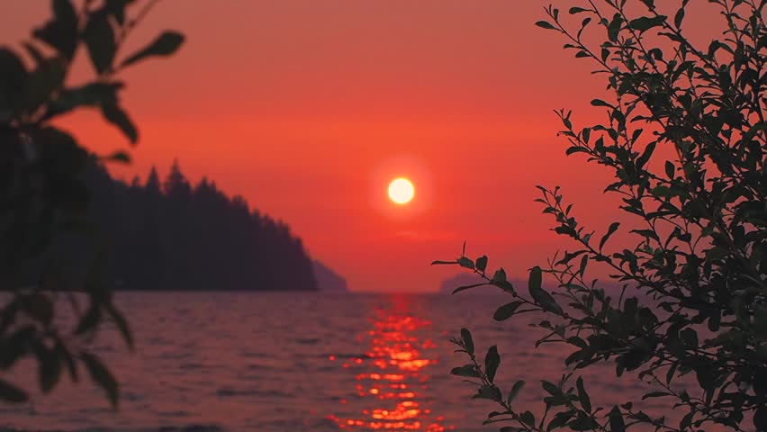 Red Sunset During Bcs Forest Stock Footage Video (100% Royalty-free ...