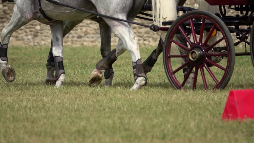 Horse Racing contestants in a race image - Free stock photo - Public ...