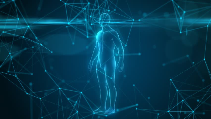 rotatning male body scan seamless loop Stock Footage Video (100% ...