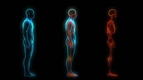 Full Body Scan Blue Projection Stock Footage Video (100% Royalty-free ...