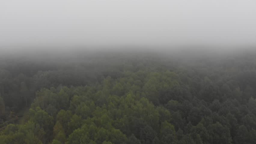 vasyugan swamp aerial view biggest world Stock Footage Video (100% ...