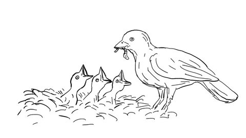 Animal Coloring Page Adult Coloring Book Stock Vector (Royalty Free ...