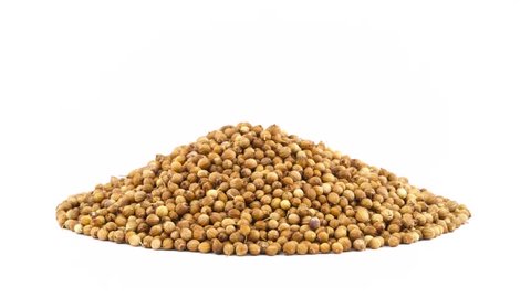 Soybean Question Mark Shape Stock Photo 1126448051 | Shutterstock