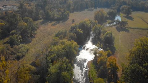 Top View Invincible Forest Fire Stock Footage Video (100% Royalty-free ...