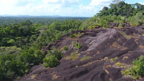 Savane Roche Virginie Inselberg Ecosystem Guiana Stock Footage Video (100% Royalty-free ...