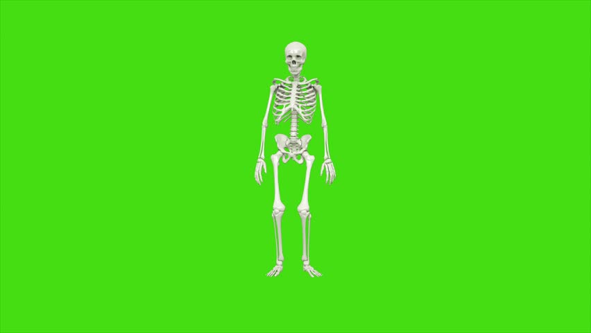 Skeleton Dancing Seamless Loop Animation On Stock Footage Video (100% ...