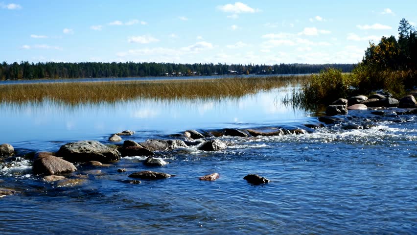 Lake and Shore at lake Itasca state park, Minnesota image - Free stock ...