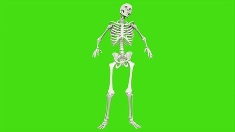 Green screen skull Stock Video Footage - 4K and HD Video Clips ...