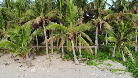 Road Behind Palm Trees Beach Batanes Stock Footage Video (100% Royalty ...