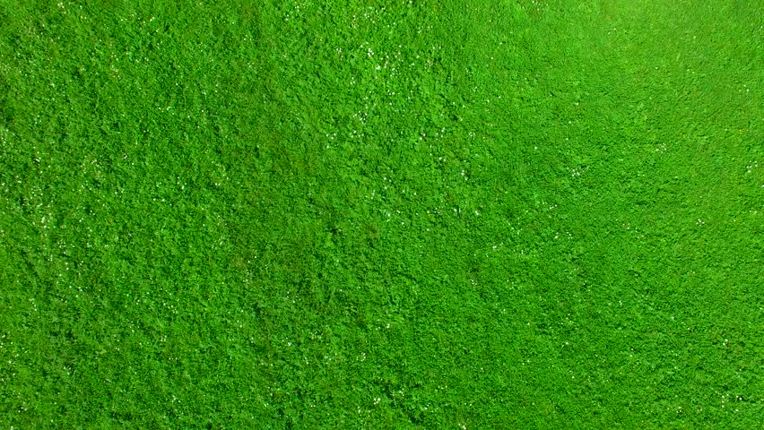 mountain meadow overhead aerial view Stock Footage Video (100% Royalty ...