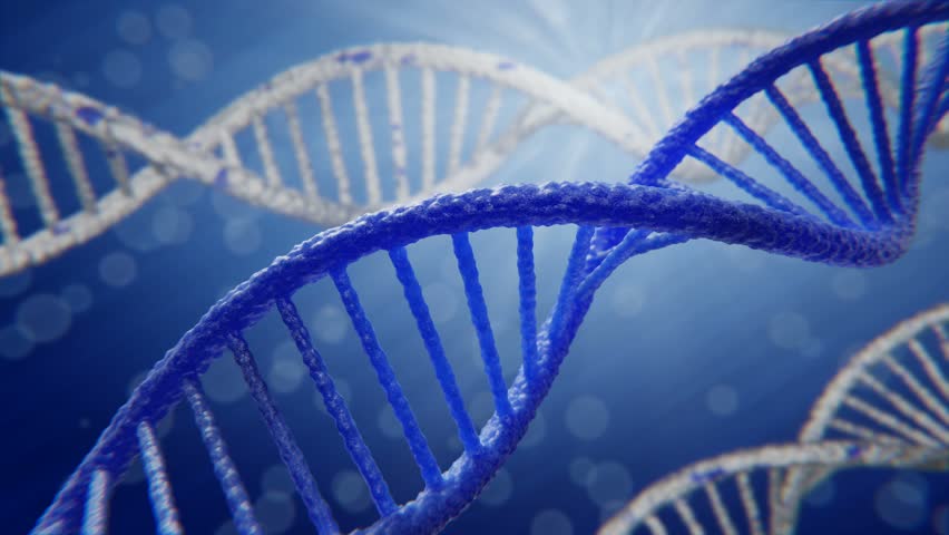 dna loop 动画近距离观察发光和旋转的 链。以完整的原生渐进式高清分辨率实现流畅无缝的循环动画，也提供 pal 帧速率。 库存影片视频 ...