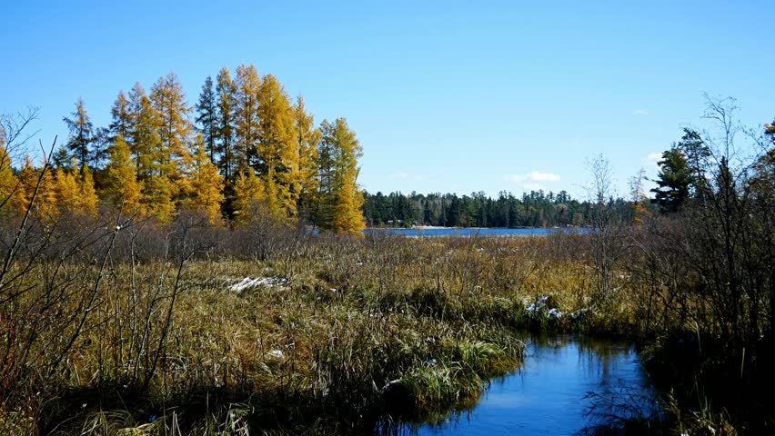 Lake and Shore at lake Itasca state park, Minnesota image - Free stock ...