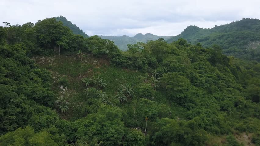 aerial shot cagayan valley luzon philippines Stock Footage Video (100% ...