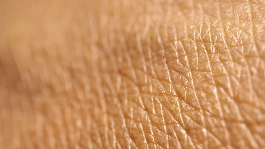 close human skin texture Stock Footage Video (100% Royalty-free ...