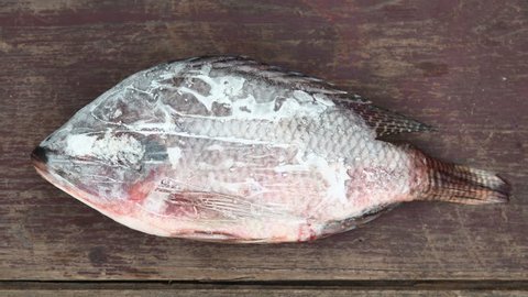 Time Lapse Ice Melting Fish Stock Footage Video (100% Royalty-free ...