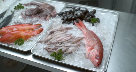 Variety Fresh Fish Seafood Muscles Crawfish Stock Footage Video (100% ...