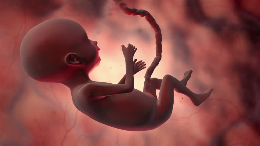 fetus abstract background Stock Footage Video (100% Royalty-free ...