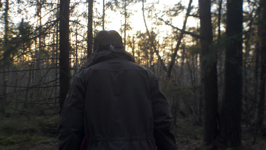 man lumberjack out forest sunset Stock Footage Video (100% Royalty-free ...