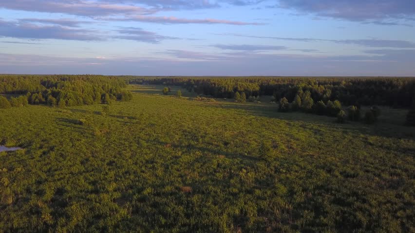 Cranberry Pond landscape with swamp image - Free stock photo - Public ...