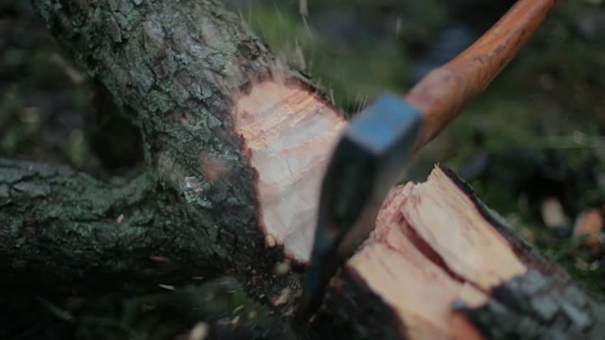 hitting tree trunk axe slow motion Stock Footage Video (100% Royalty ...