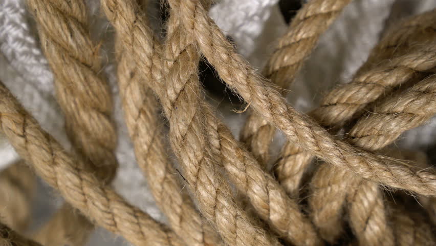 Clew logo Stock Video Footage - 4K and HD Video Clips | Shutterstock