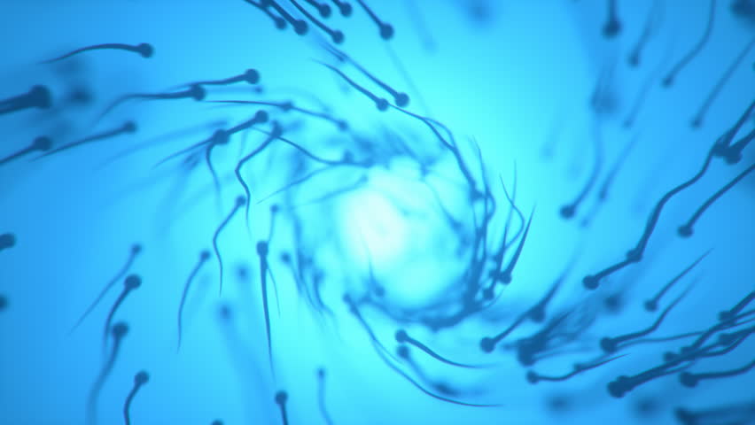 Sperm anatomy Stock Video Footage - 4K and HD Video Clips | Shutterstock