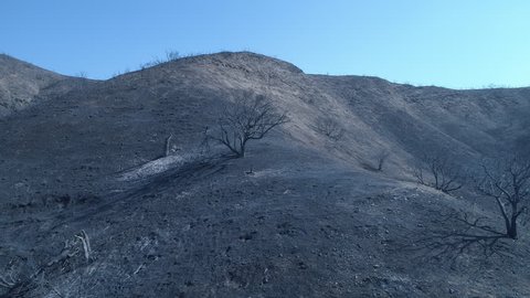 Aftermath Woolsey Fire Malibu Ca Walkaround Stock Footage Video (100% ...