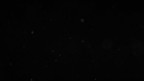 Particles Overlay Snow Windy Wind Snowy Stock Footage Video (100% ...