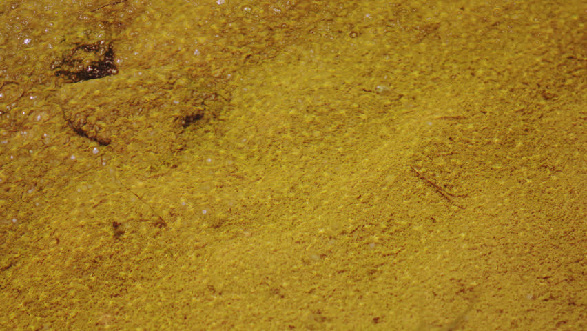 Microbial mat Stock Video Footage - 4K and HD Video Clips | Shutterstock