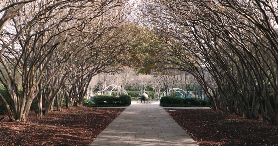 Arboretum Landscape in Dallas, Texas image - Free stock photo - Public ...