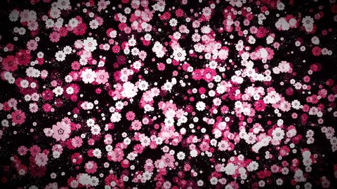 Seamless Looped Abstract Decorative Flowers Background Stock Footage ...