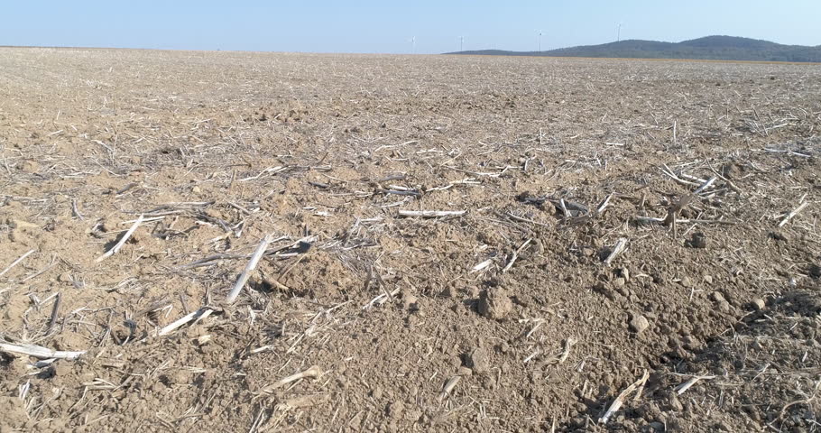 aerial across dead farm crops field Stock Footage Video (100% Royalty ...