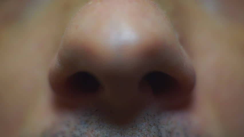 Nostril flare - jawertraining
