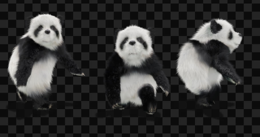 panda cg fur 3d animal cgi Stock Footage Video (100% Royalty-free ...