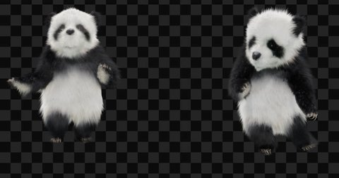 panda cg fur 3d rendering animal Stock Footage Video (100% Royalty-free ...