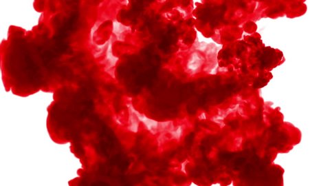 red paint explosion on white background Stock Footage Video (100% ...