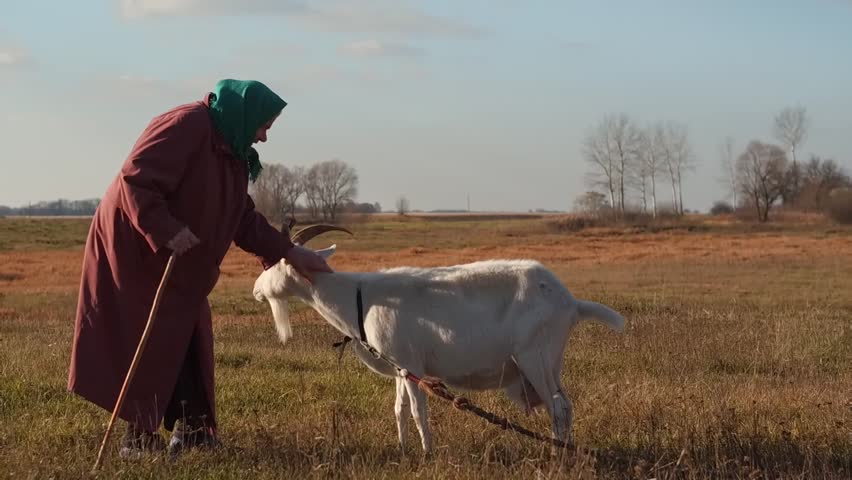 Shepherdess Stock Video Footage - 4K and HD Video Clips | Shutterstock