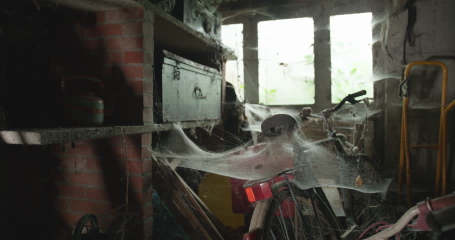 Clutter Spiders Stock Video Footage - 4K and HD Video Clips | Shutterstock